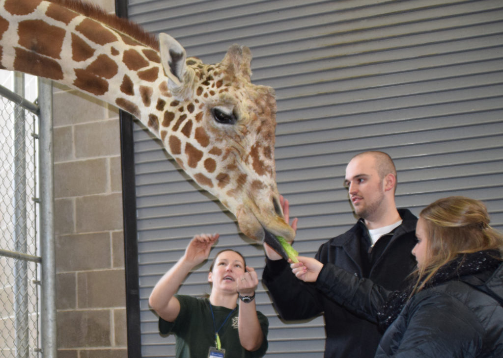 Education at the NEW Zoo | NEW Zoo & Adventure Park