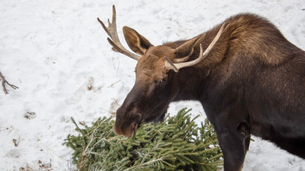 NEW Zoo & Adventure Park