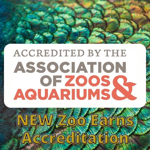 NEW Zoo & Adventure Park