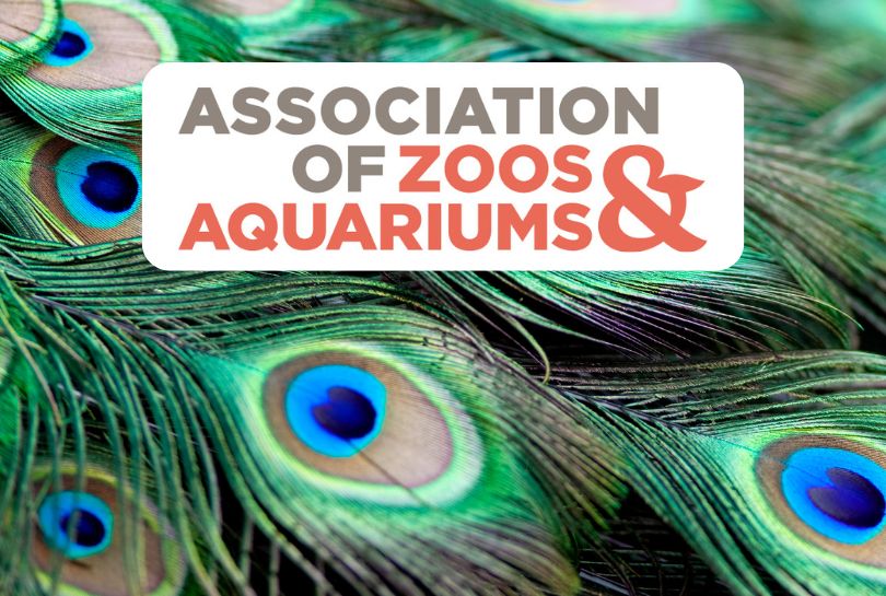 NEW Zoo Earns Accreditation - NEW Zoo & Adventure Park