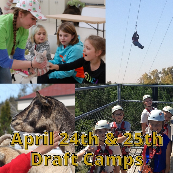 NEW Zoo & Adventure Park